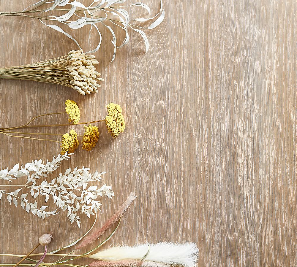 Dried Ruscus Bundle | Pottery Barn