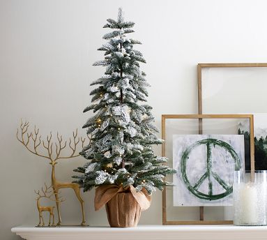 Pre-Lit Frosted Faux Pine Trees | Pottery Barn