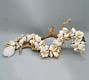 White Assorted Shell Garland, 56" | Pottery Barn