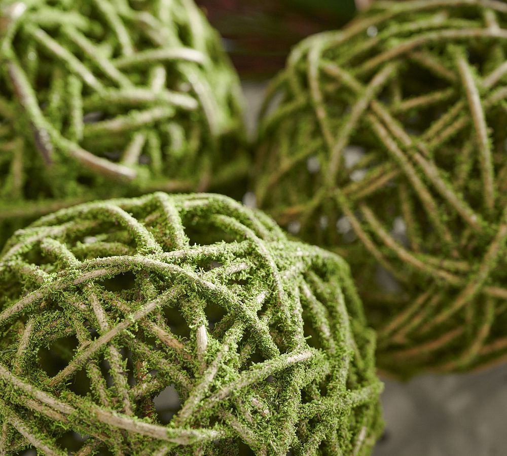 Faux Moss Coated Curly Willow Spheres - Set of 3 | Pottery Barn