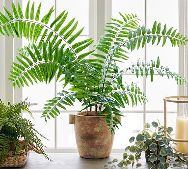 Faux Potted Sword Fern | Pottery Barn