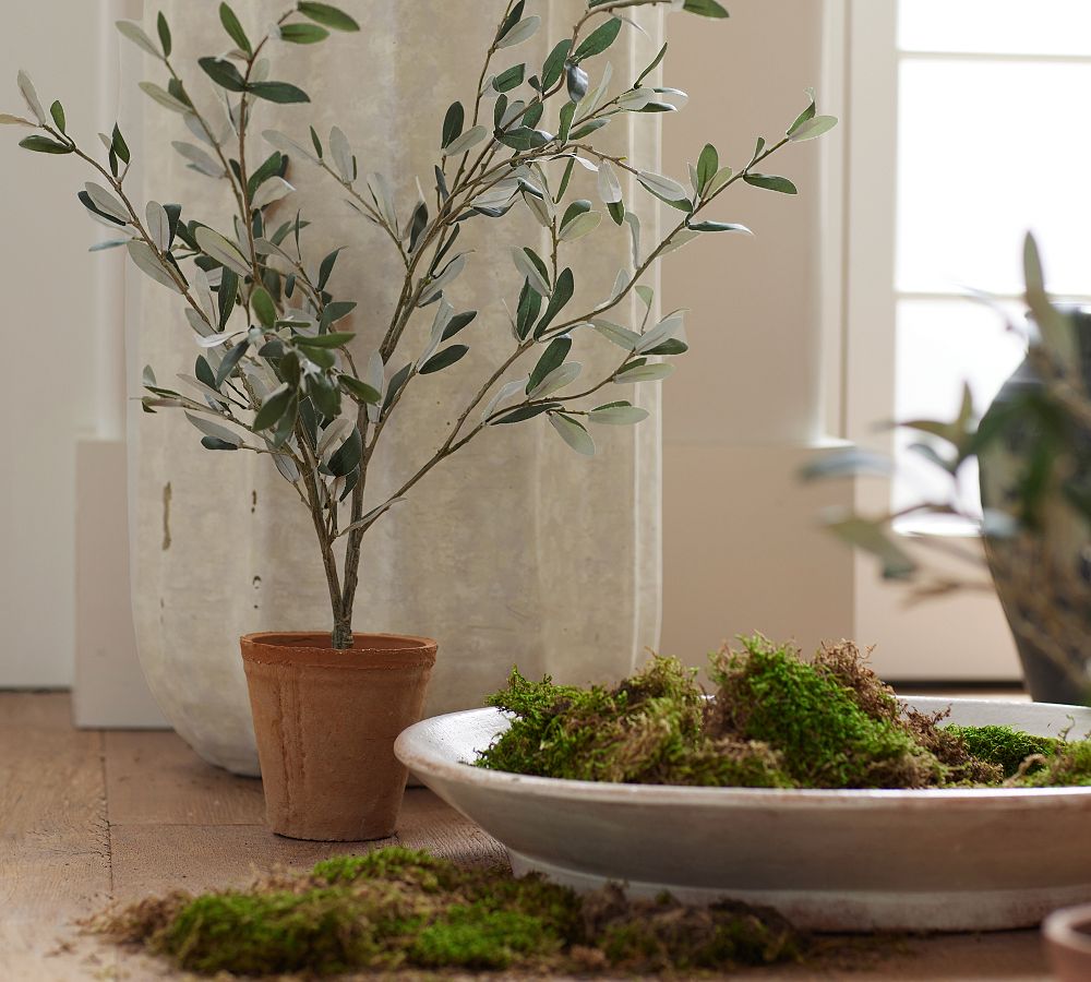 Handcrafted Glazed Terracotta Bowls | Pottery Barn