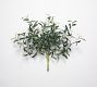 Faux Olive Bundle | Pottery Barn
