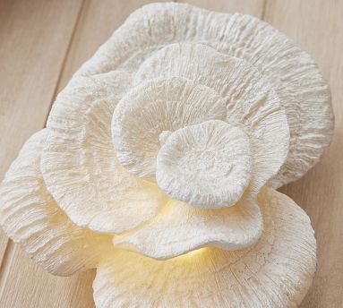 Lit Coastal Objects | Pottery Barn