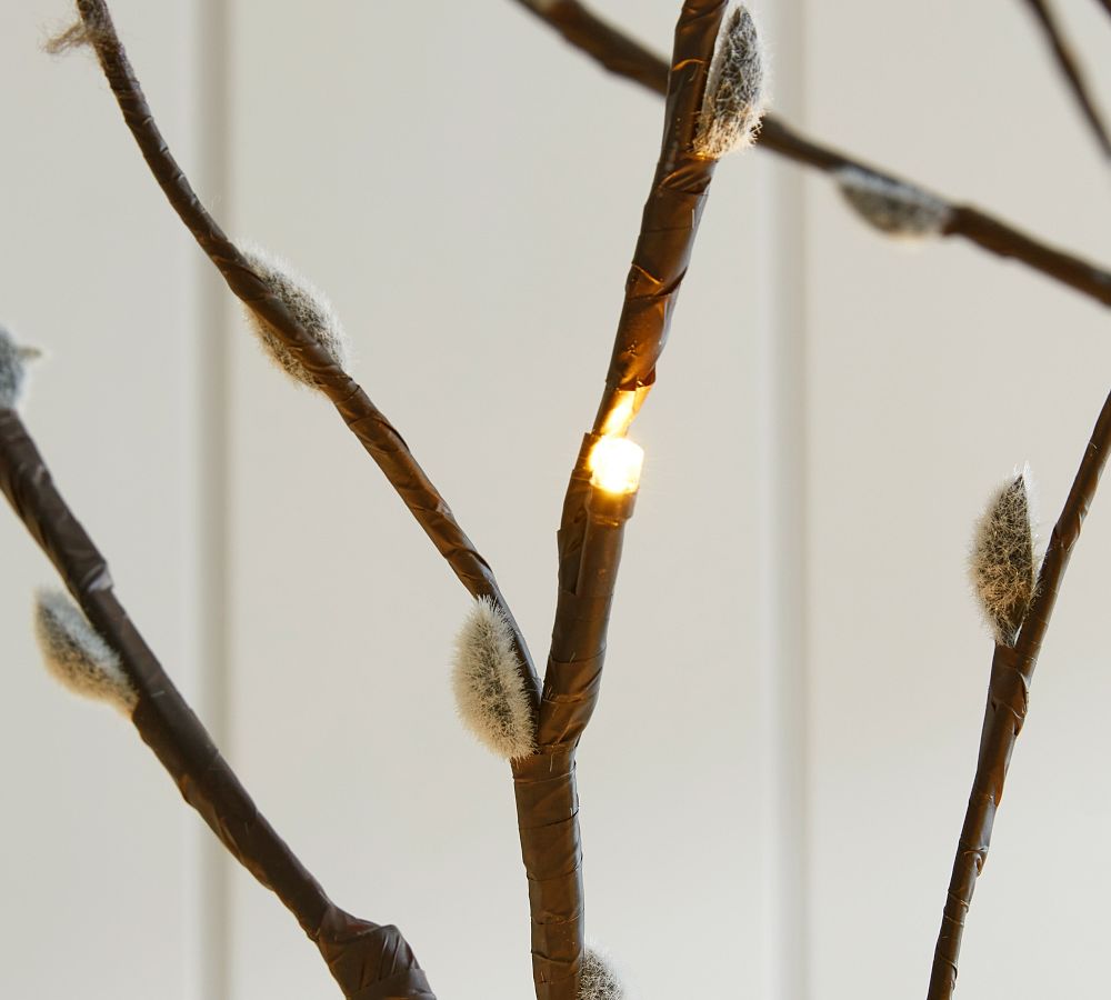 Light Up Indoor/Outdoor Willow Twinkling Twig Trees | Pottery Barn