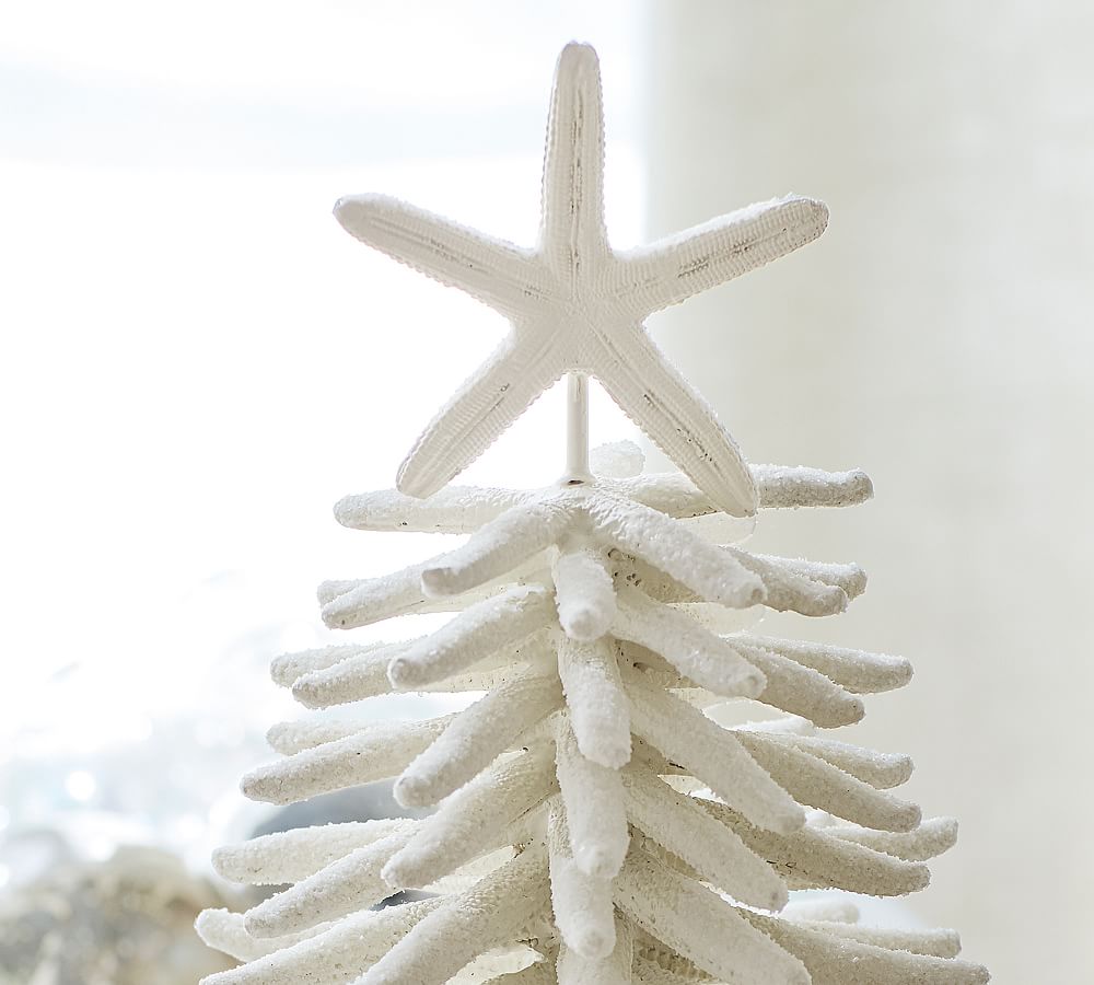 Seashell Coastal Trees | Pottery Barn