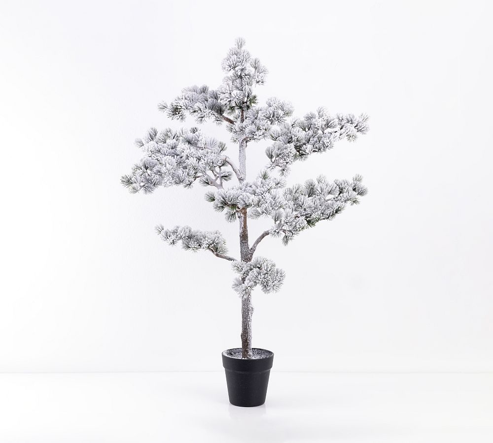 Potted Flocked Pine Tree | Pottery Barn
