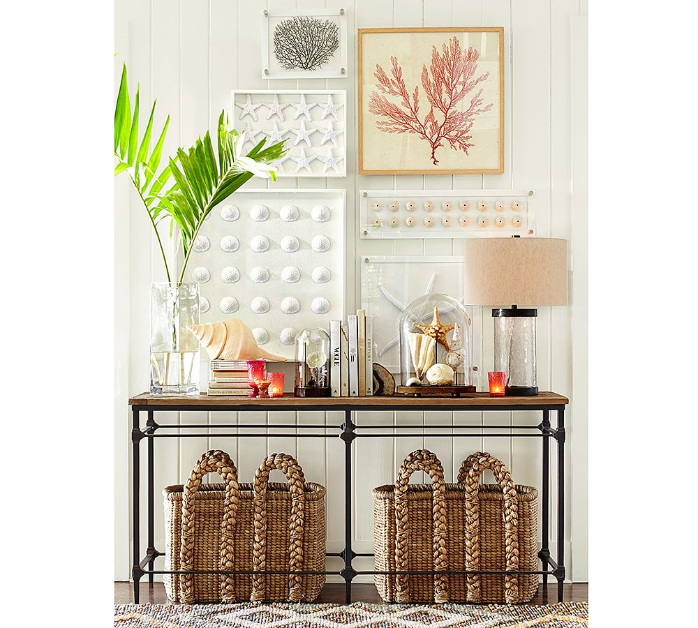 Sand Dollar Shadow Box | Pottery Barn