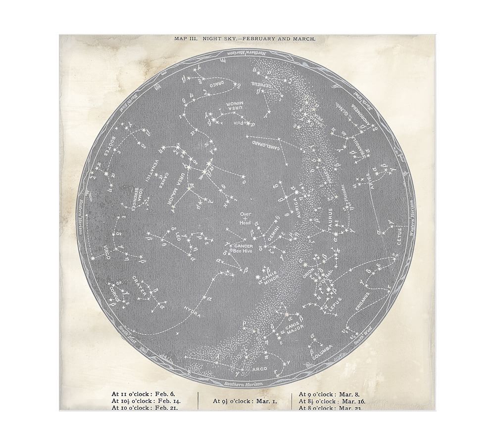 Framed Vintage Astronomical Chart - Gray | Pottery Barn