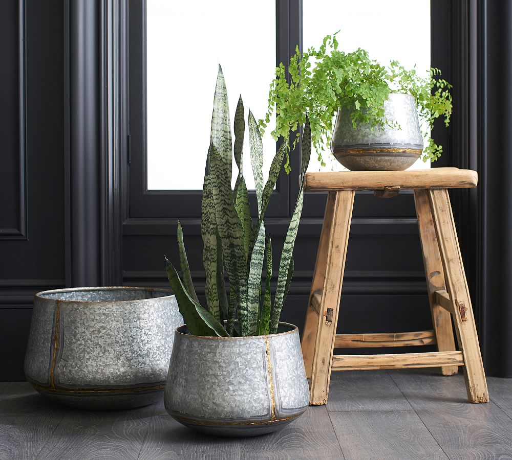 Low Galvanized Vases | Pottery Barn