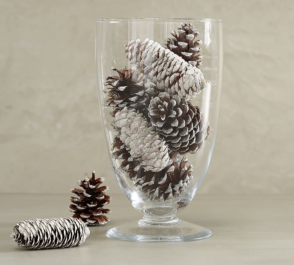 Frosted Pinecone Vase Filler | Pottery Barn