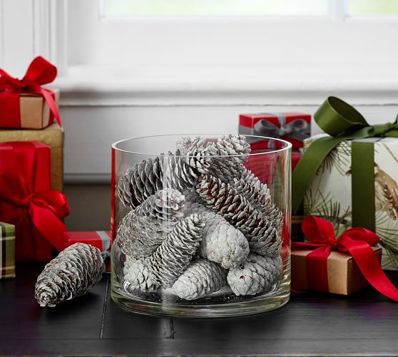 Frosted Pinecone Vase Filler | Pottery Barn