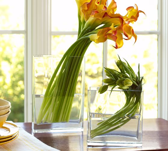 Rectangular Vases | Pottery Barn