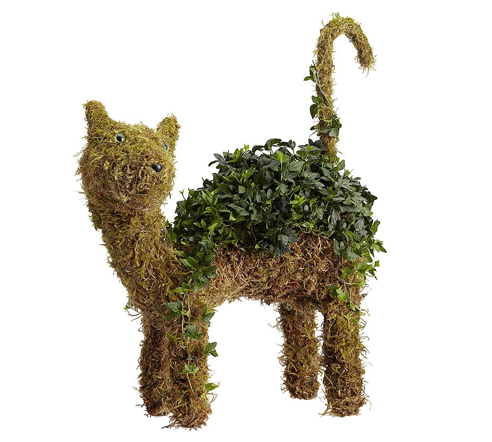 Live Cat Topiary | Pottery Barn