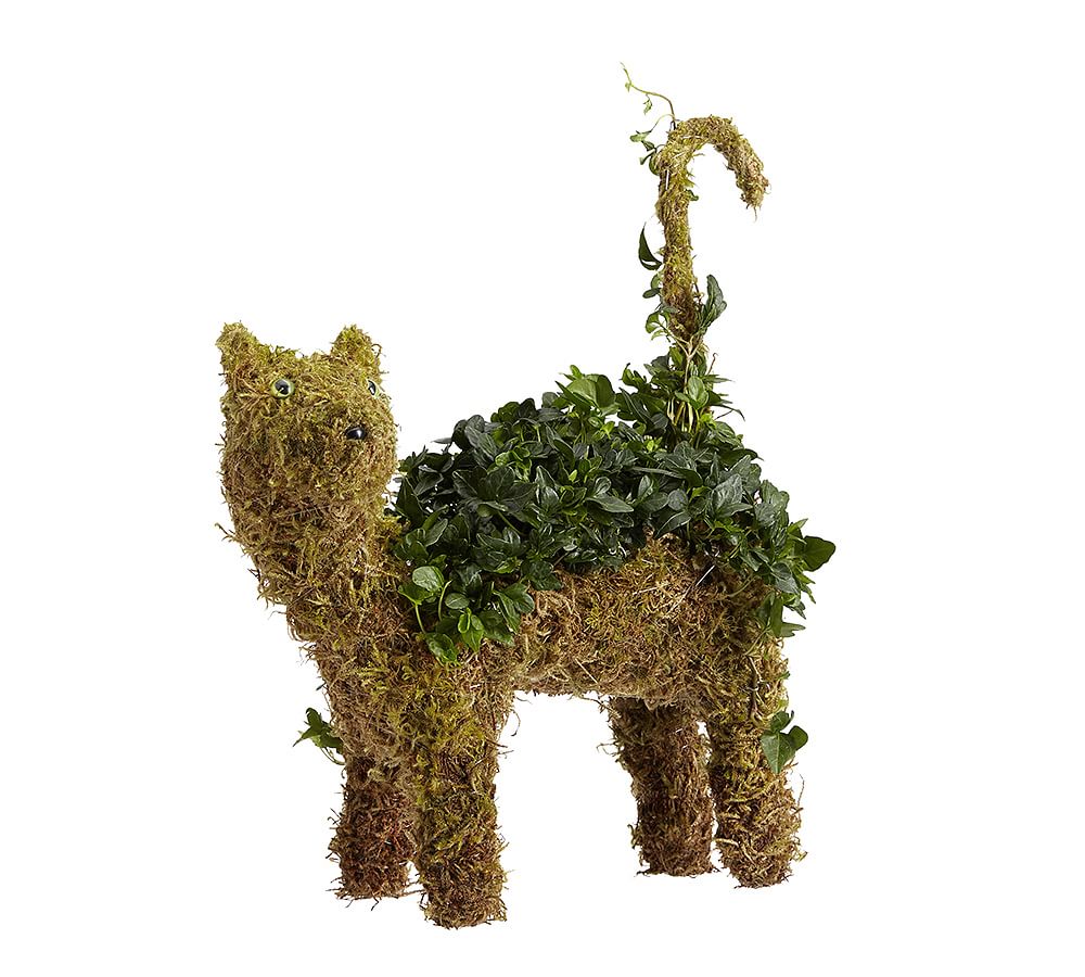 Live Cat Topiary | Pottery Barn