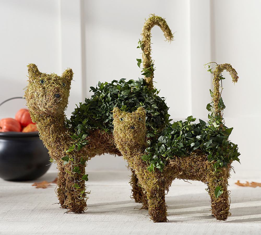 Live Cat Topiary | Pottery Barn