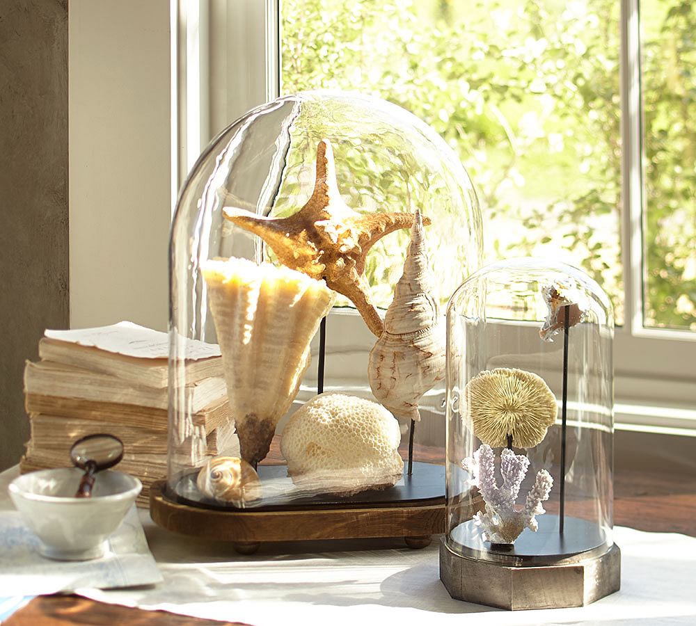 Shell Cloche | Pottery Barn