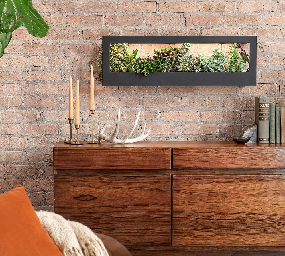 Growframe, 32" X 11.5" | Pottery Barn