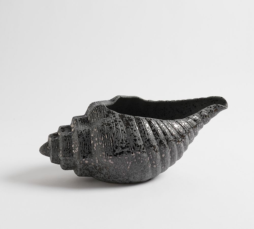 Handcrafted Ceramic Conch Shell | Pottery Barn