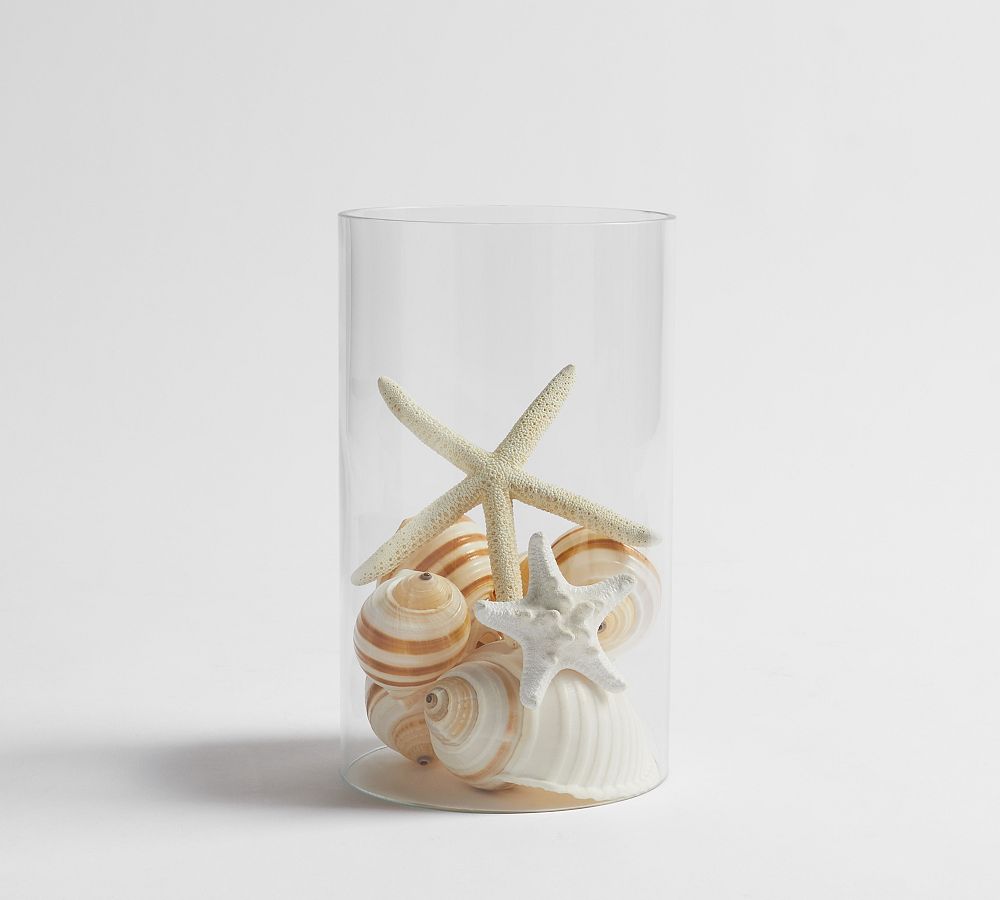 Decorative Mixed Shells | Pottery Barn