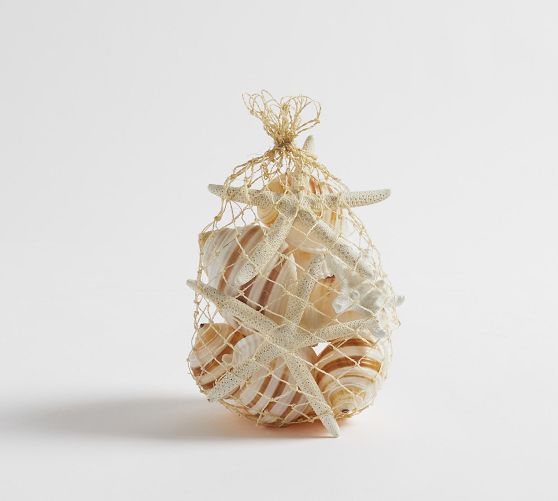 Decorative Mixed Shells | Pottery Barn