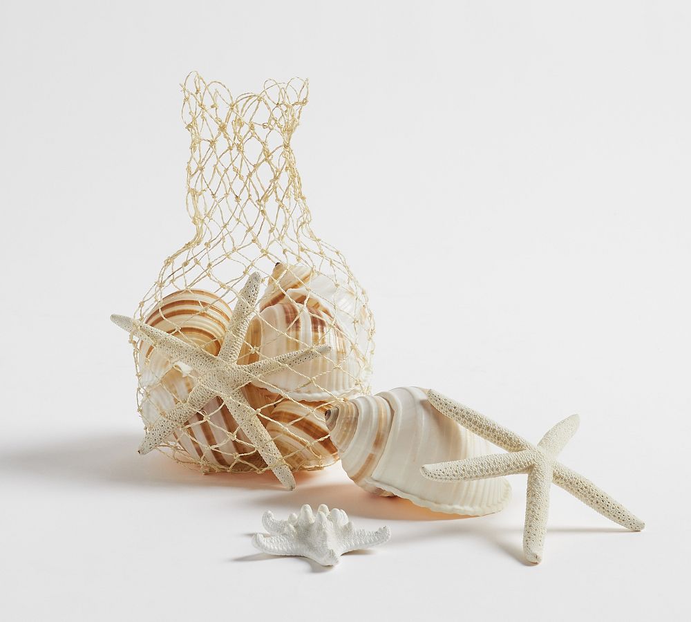 Decorative Mixed Shells | Pottery Barn