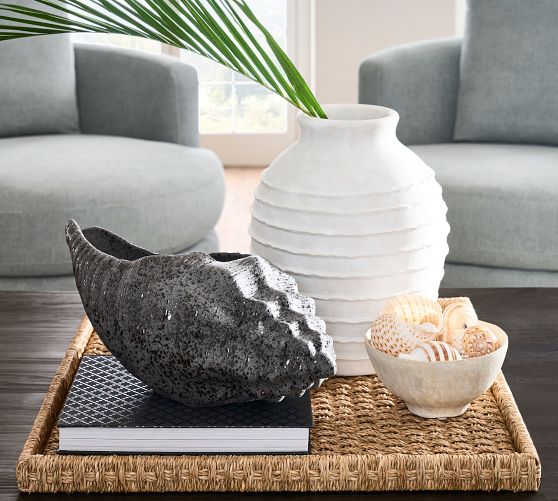 Decorative Mixed Shells | Pottery Barn