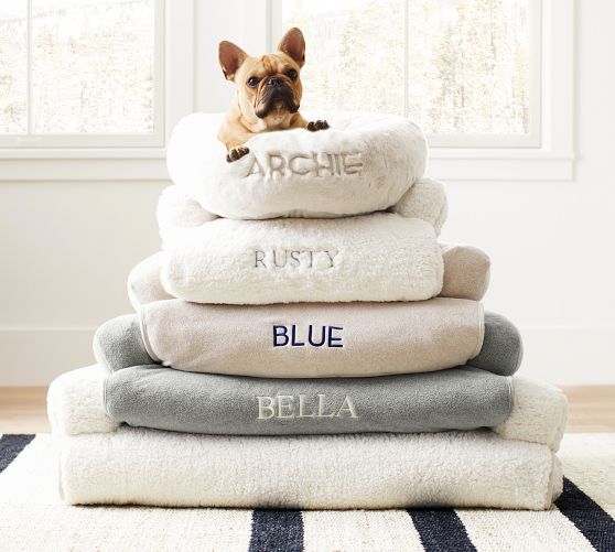 3-in-1 Pet Bed Collection | Pottery Barn