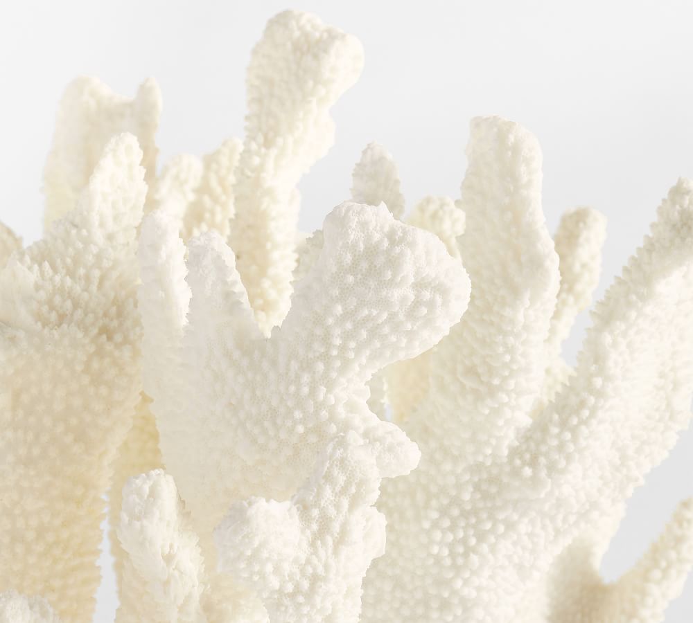 Faux Coral Decorative Object | Pottery Barn