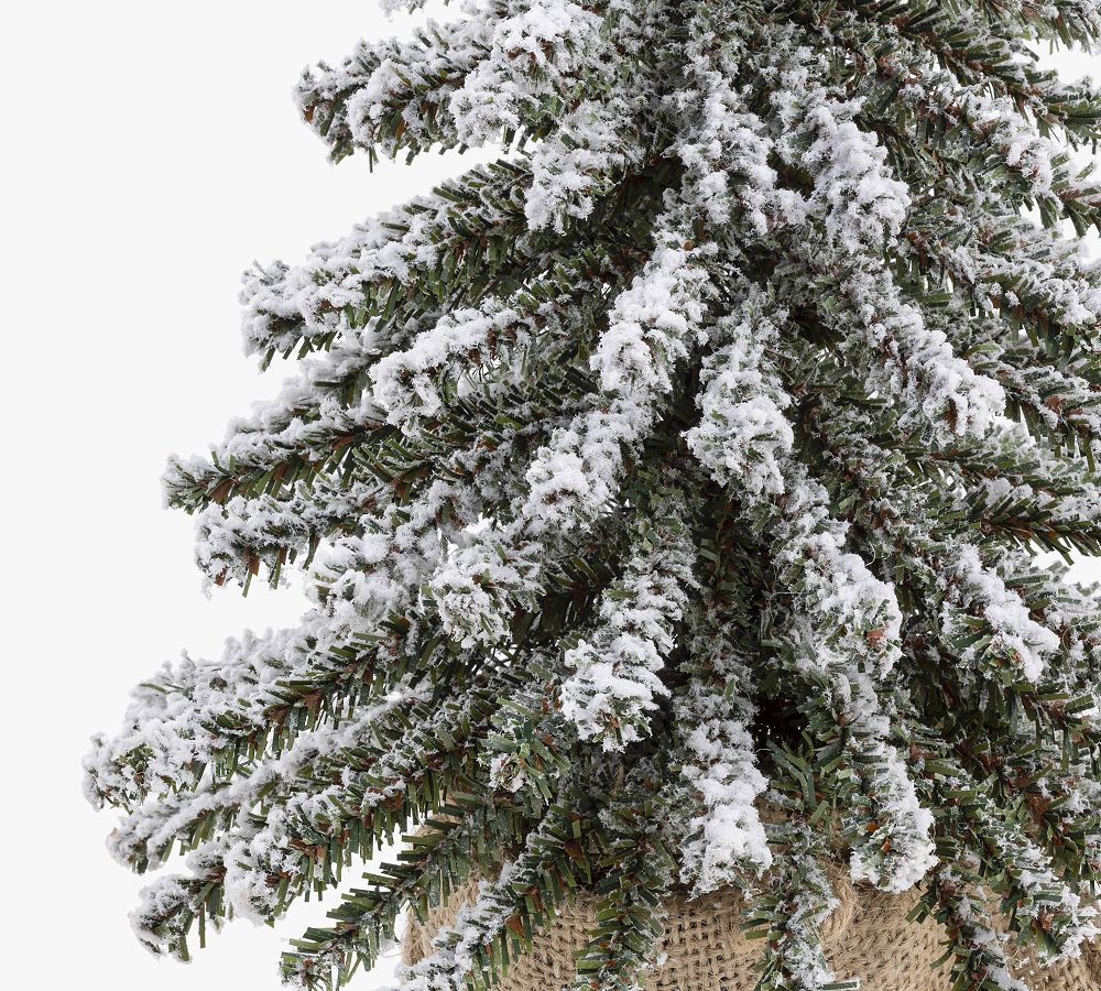Flocked Mini Pine Tree Pottery Barn