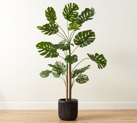Faux Monstera Tree - 7.25' | Pottery Barn