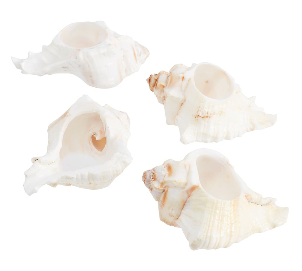 Conch Shell Napkin Rings, Set of 4 | Pottery Barn