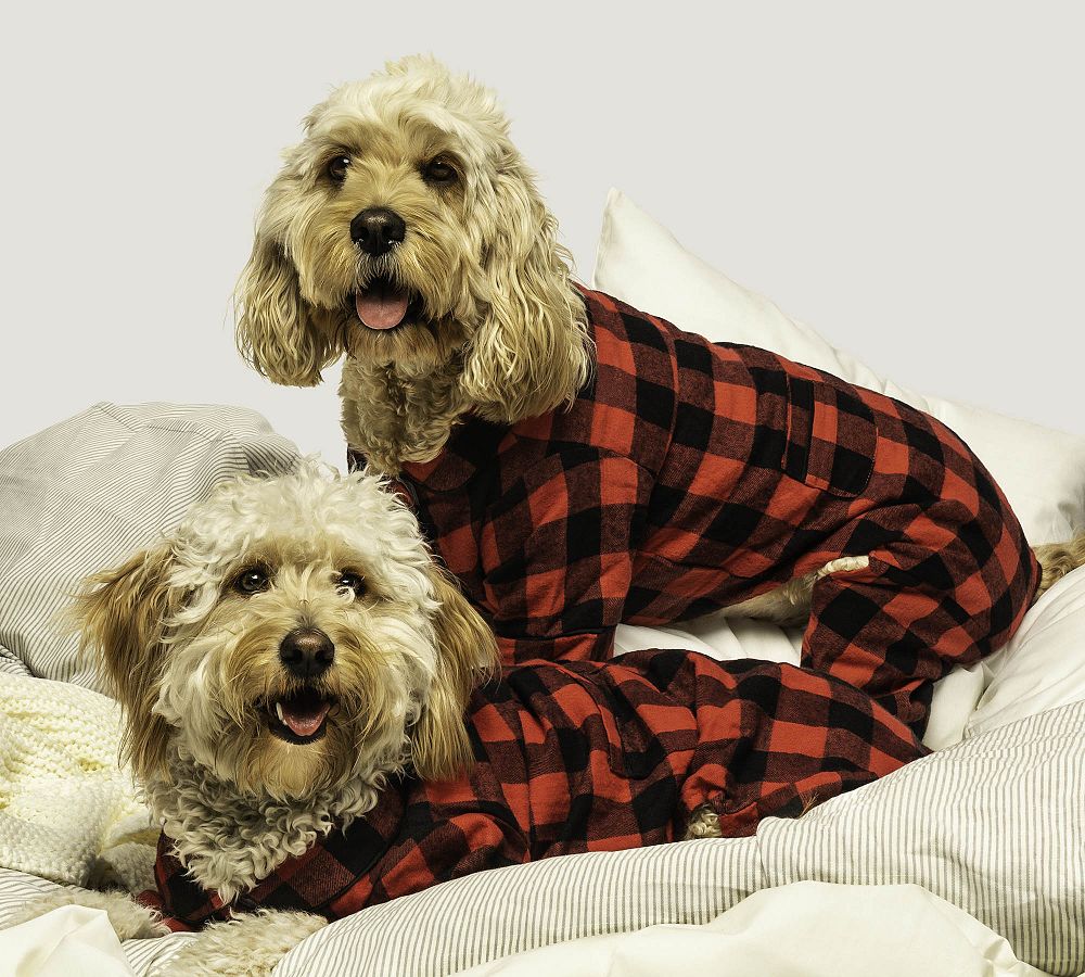 Matching Plaid Pet Pajamas | Pottery Barn