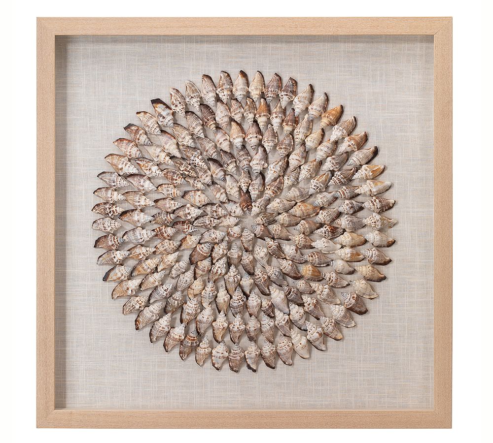Tulip Shell Shadow Box Wall Art | Pottery Barn