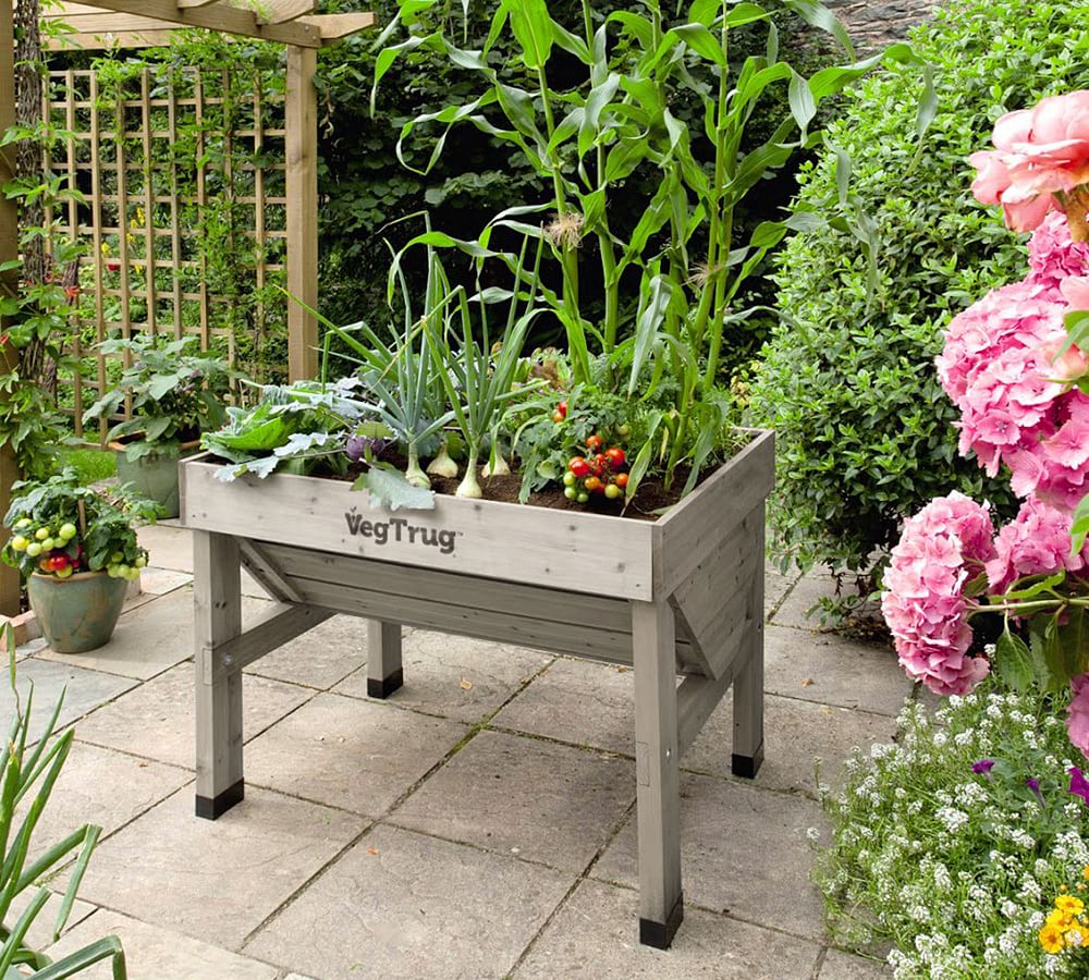 Vegtrug Raised Garden Bed | Pottery Barn
