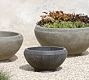 Ludlow Bowl Planter | Pottery Barn