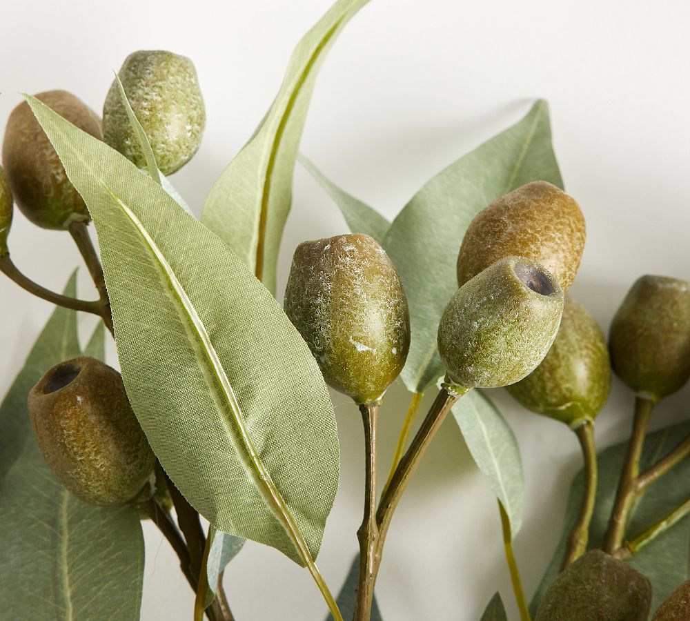 Faux Willow Eucalyptus Bundle | Pottery Barn