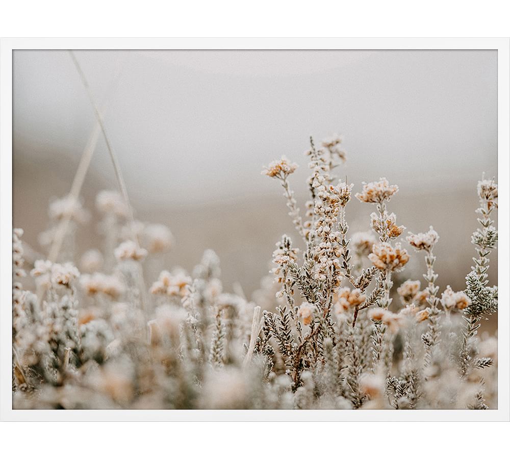 Field Flowers By Annie Spratt | Pottery Barn