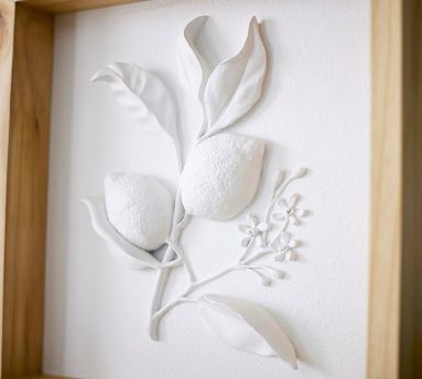 Lemon Branch Resin Shadow Box | Pottery Barn