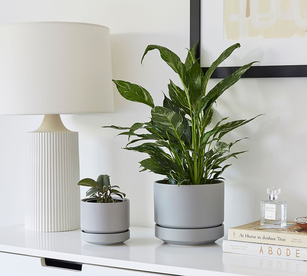 Modern Gray Ceramic Planter | Pottery Barn