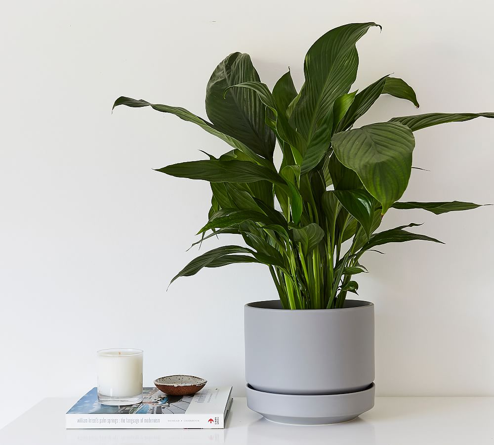 Modern Gray Ceramic Planter | Pottery Barn