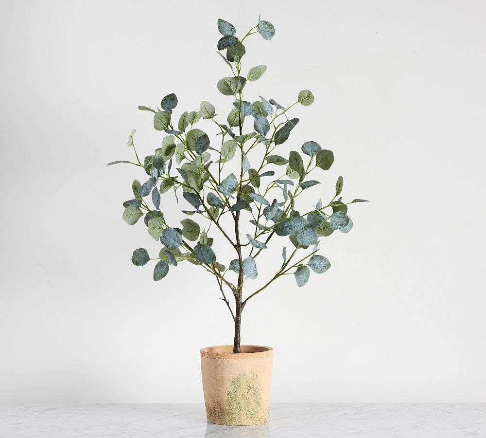 Faux Silver Dollar Eucalyptus Mini Tree | Pottery Barn