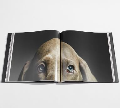 Dogs by Tim Flach | Pottery Barn