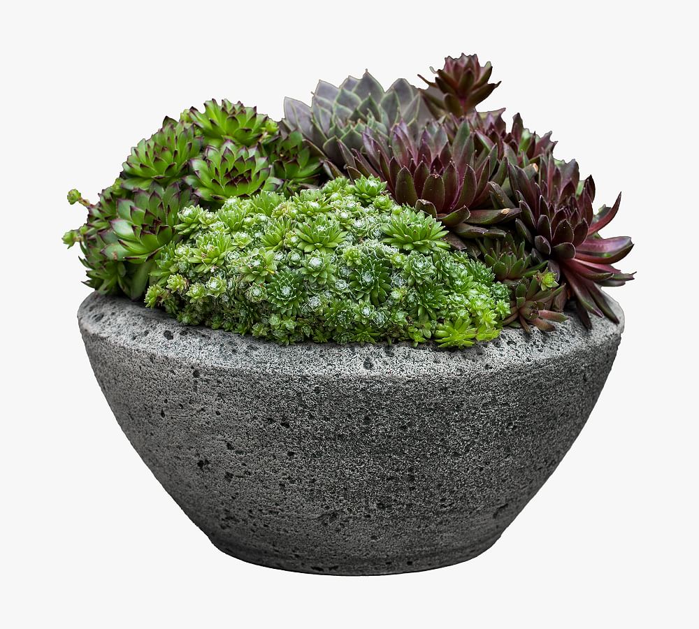 Roselyn Cast Stone Planter | Pottery Barn