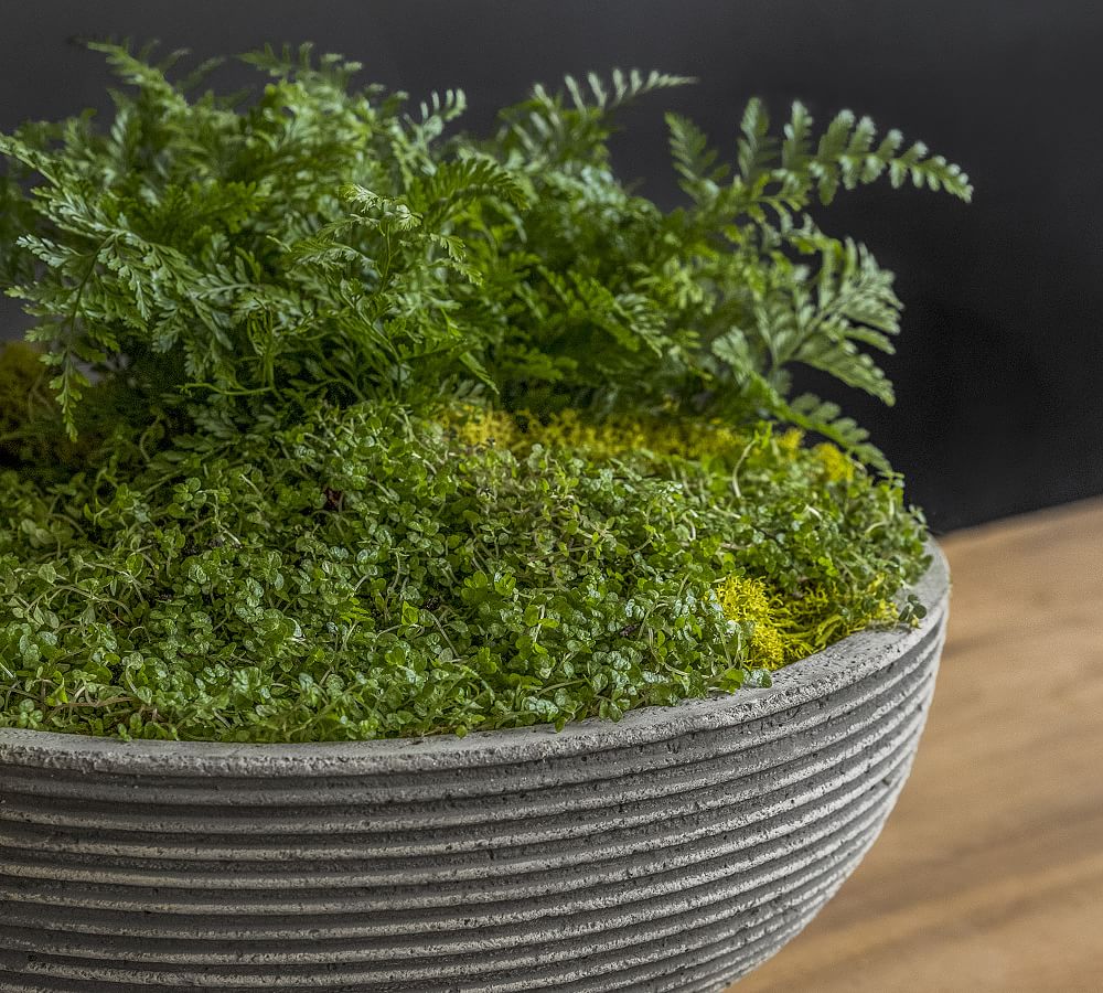 Rayna Ribbed Planter | Pottery Barn