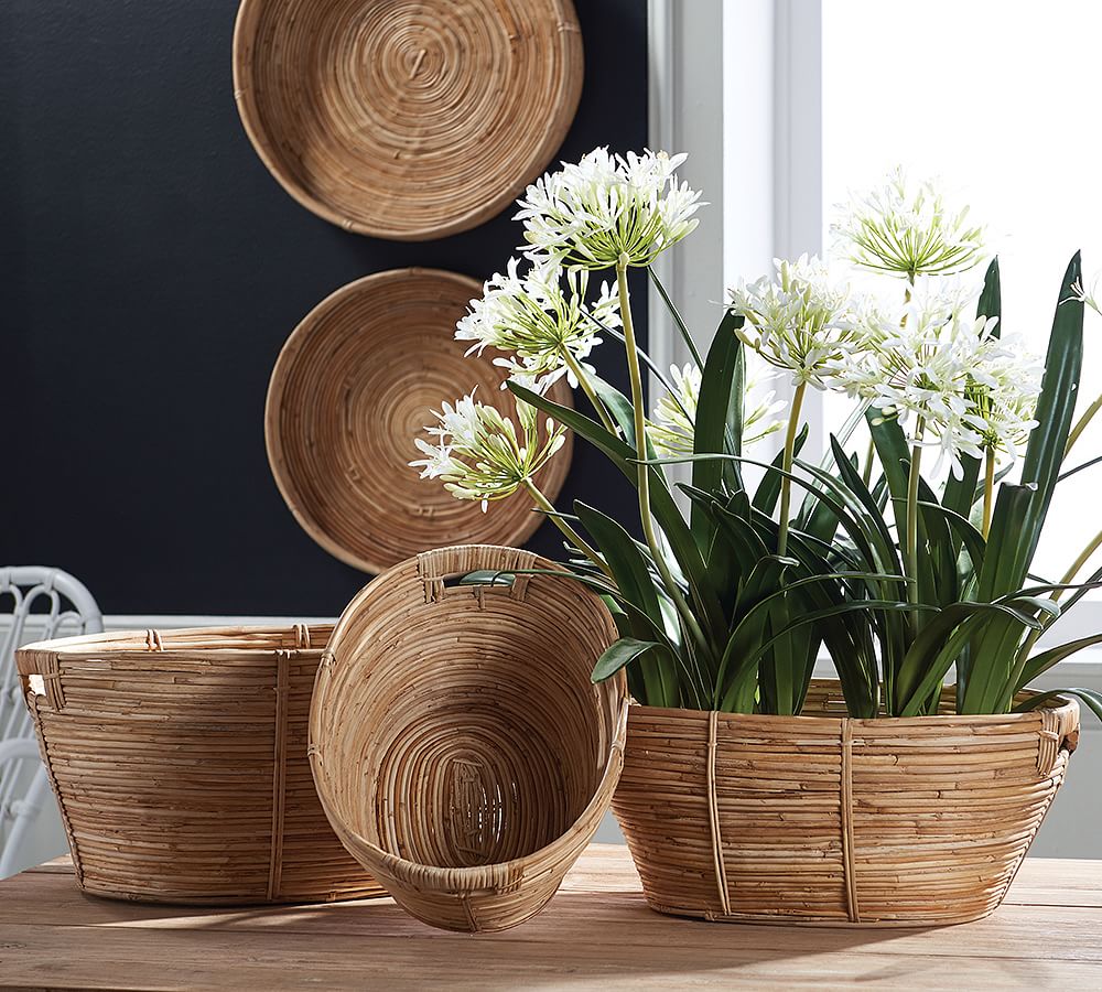 Cane Rattan Basket Sets | Pottery Barn