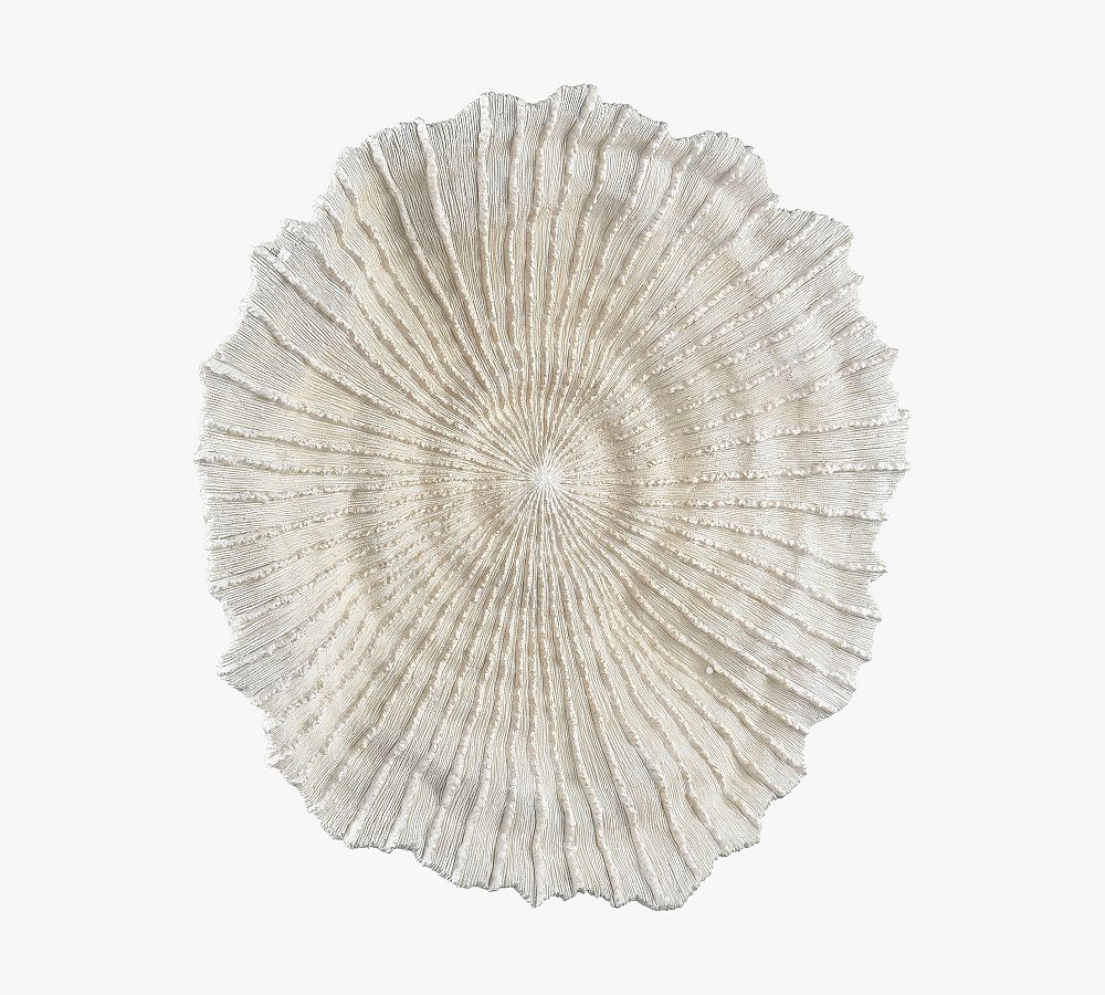 Handmade Ceramic Shell Wall Art - Set of 3 | Pottery Barn