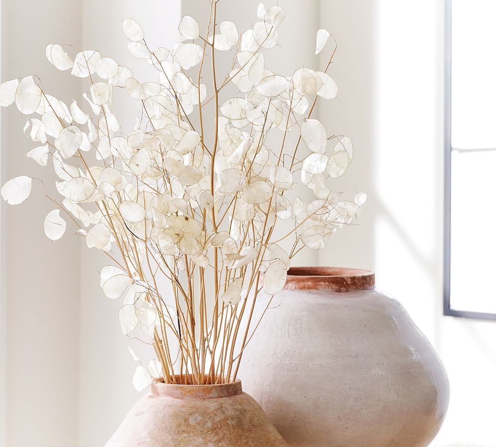 Dried Lunaria Bundle | Pottery Barn
