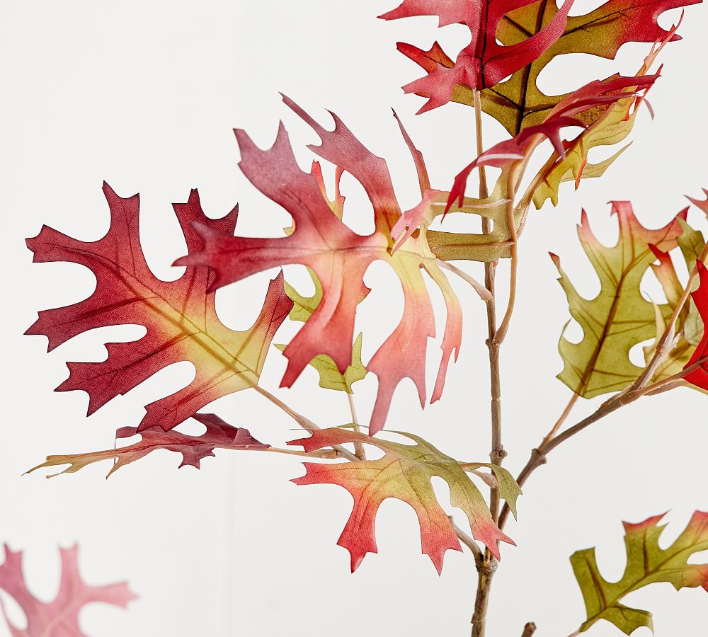 Faux Autumn Oak Branch - 45" | Pottery Barn