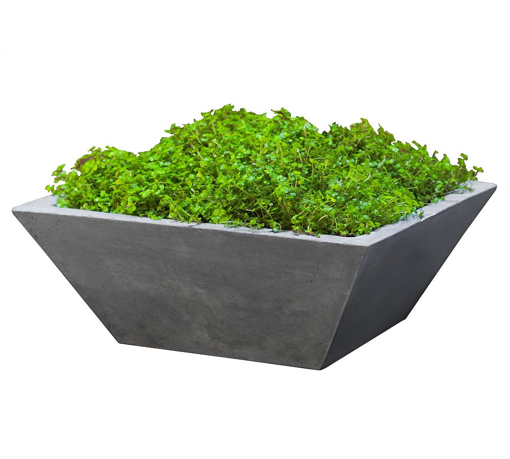 Calloway Fiber Cement Square Planter | Pottery Barn
